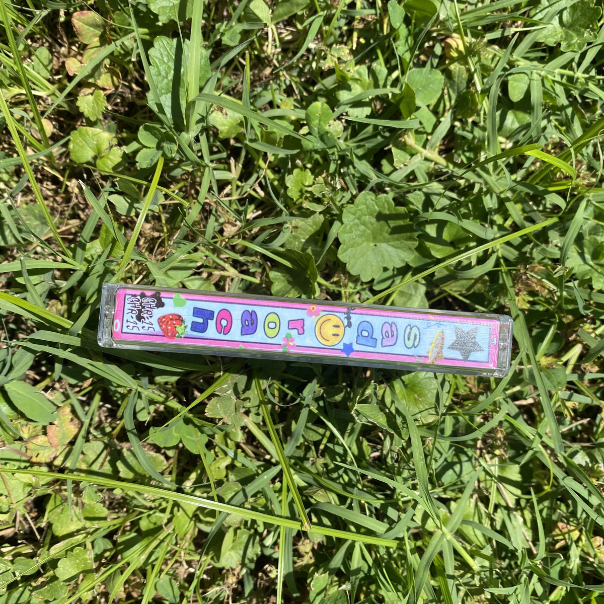 Fabricated Complexities | Sad Roach | Sockhead Records