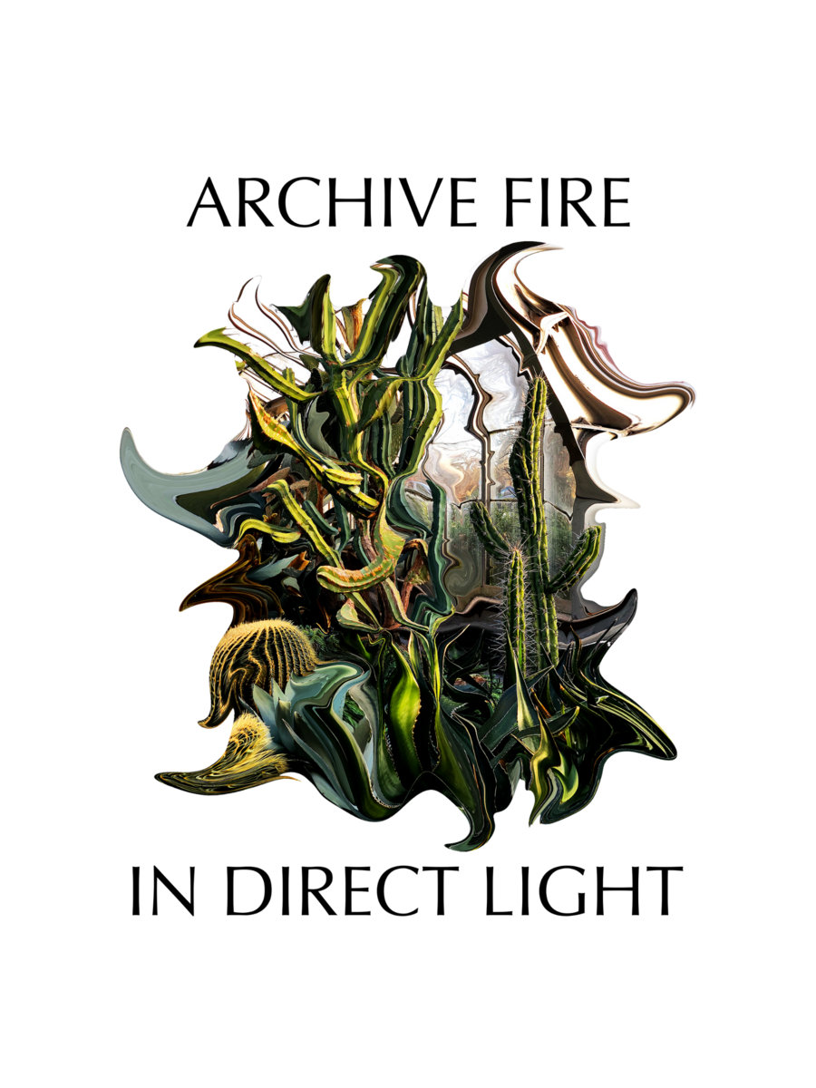 In Direct Light | Archive Fire