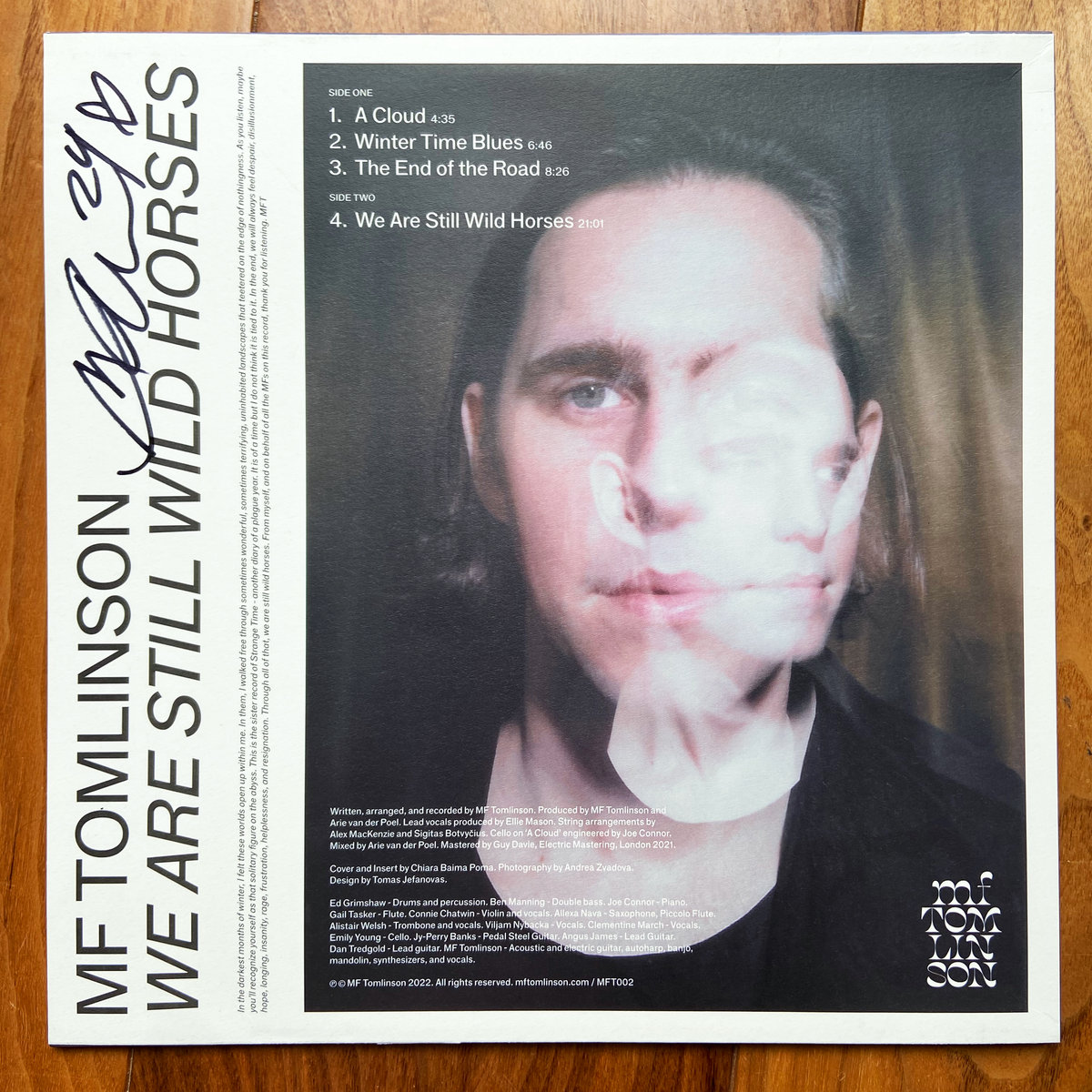 We Are Still Wild Horses | MF Tomlinson