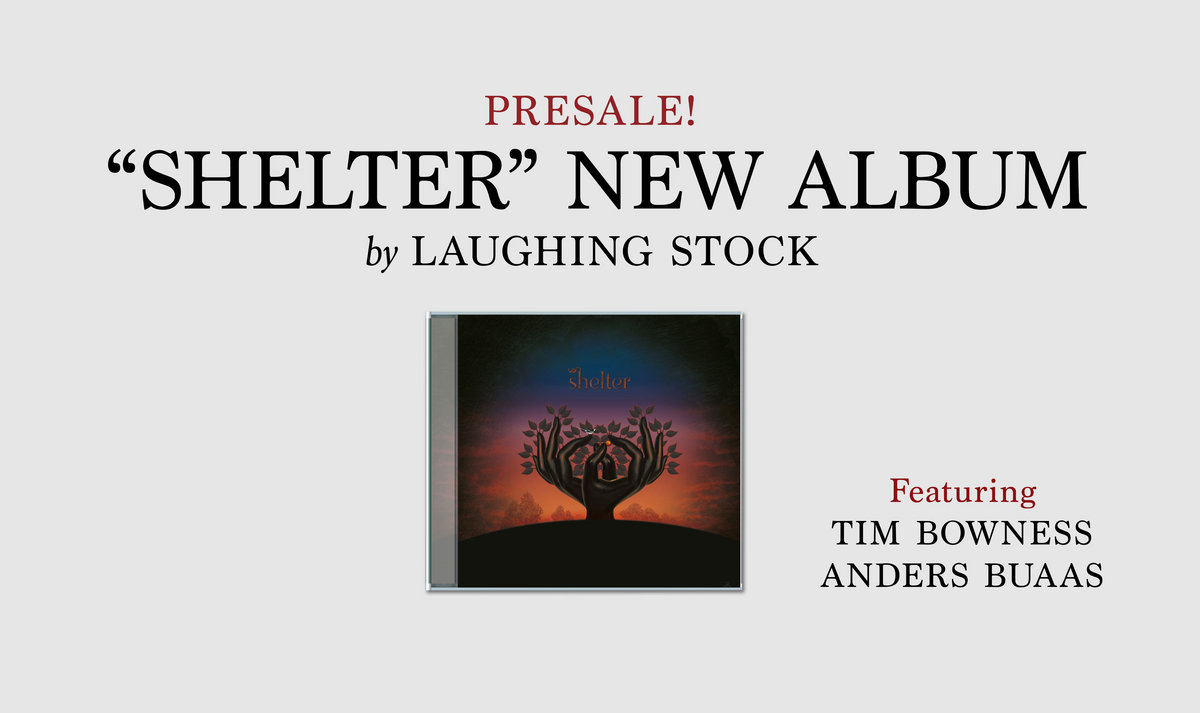 Shelter | Laughing Stock