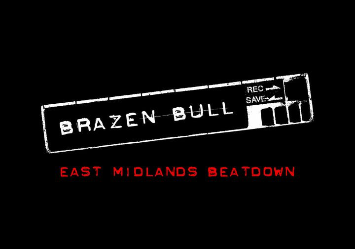 Day in The Sun (ft Alfie Winter) | Brazen Bull EMHC