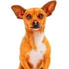 Every New Beginning | Kim Richey