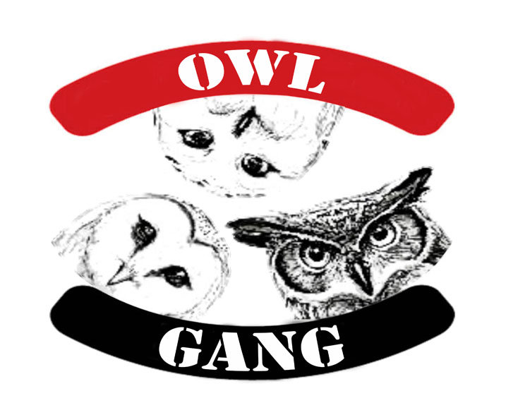 Somethin Light | Owl Gang