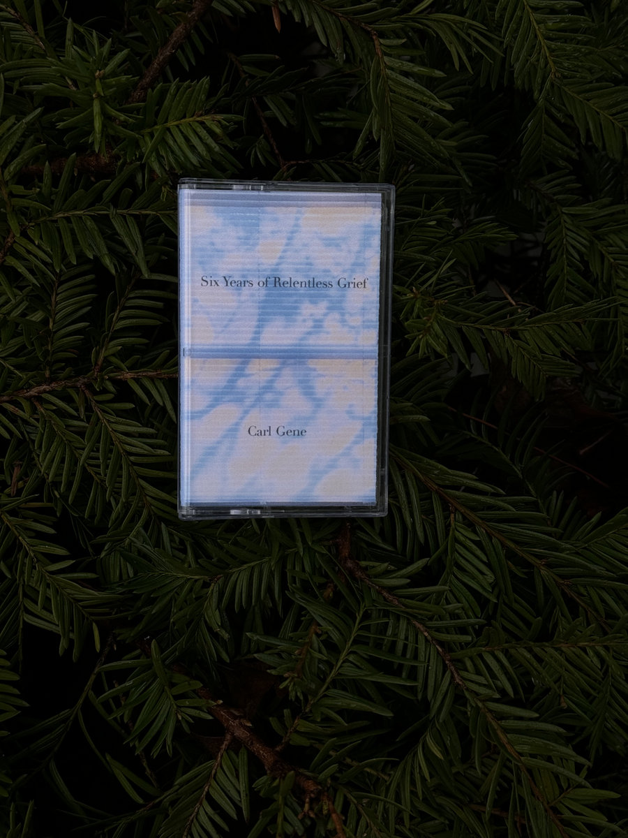 Six Years Of Relentless Grief | Carl Gene