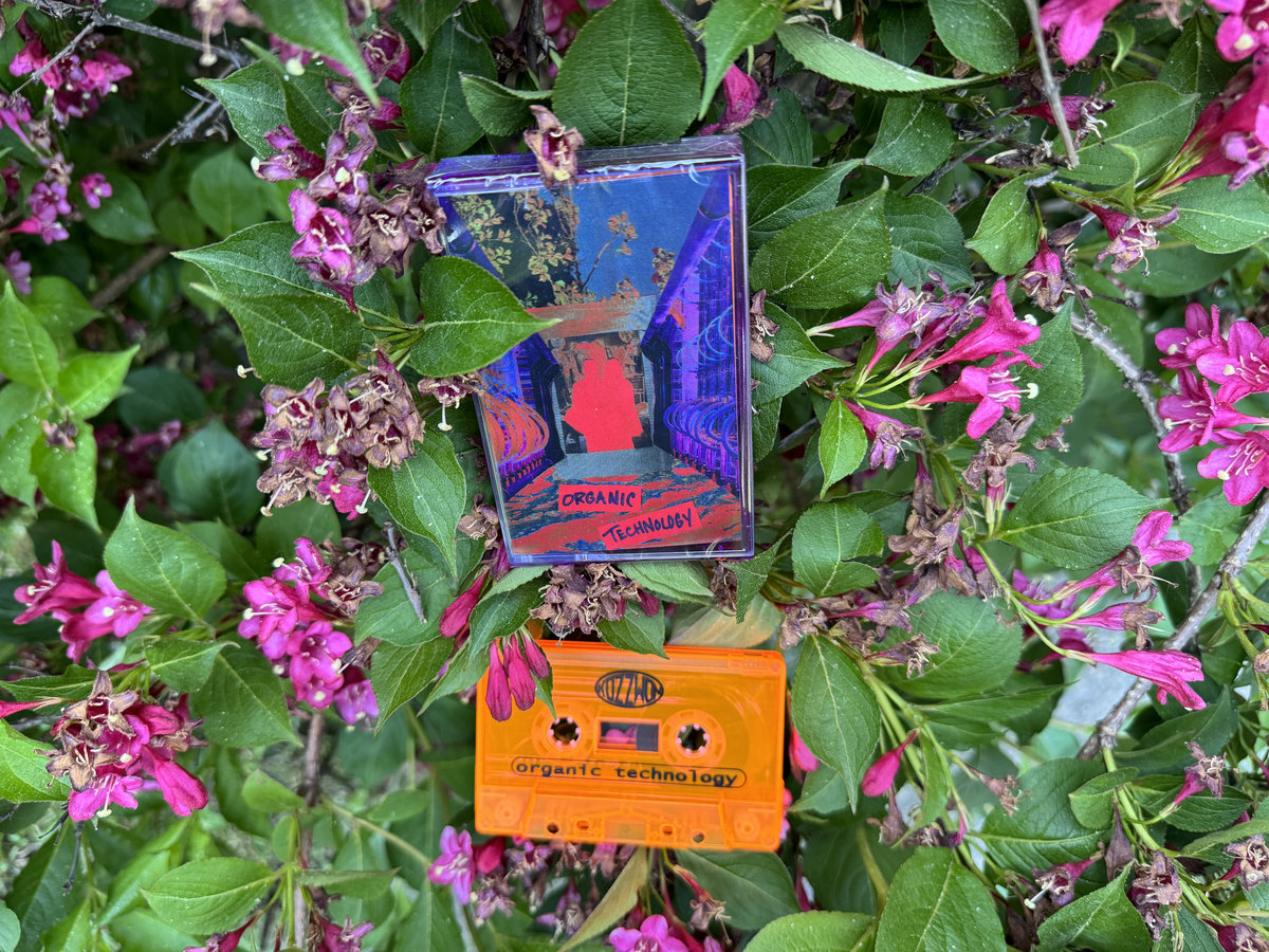 organic technology | KOZZWON