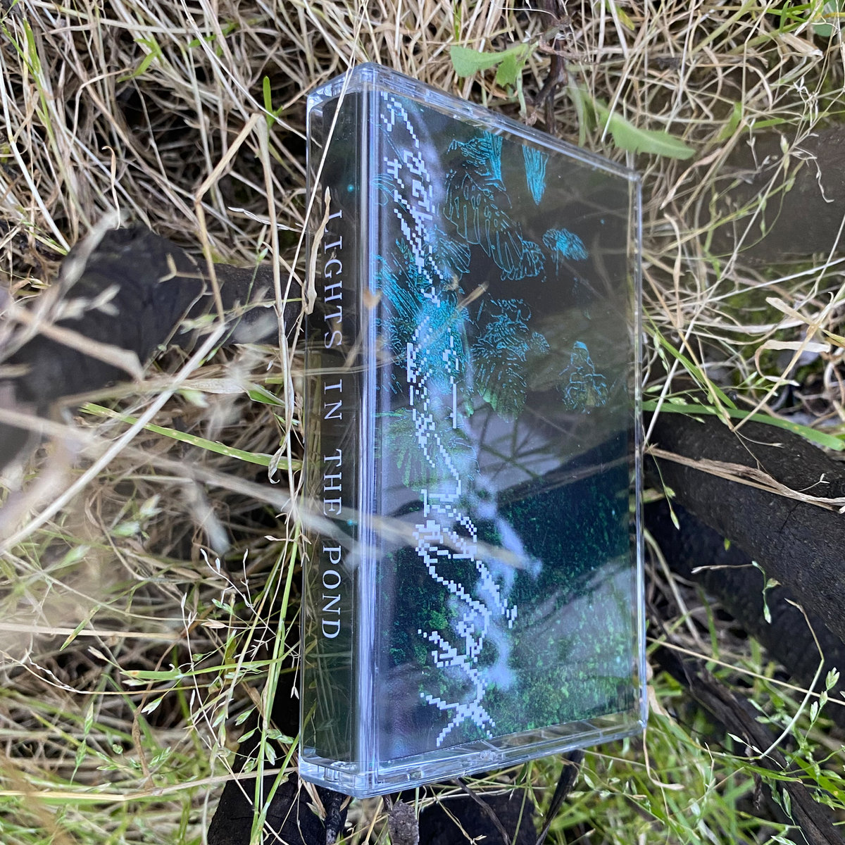 Lights In The Pond | Lights In The Pond | Biodiversità Records