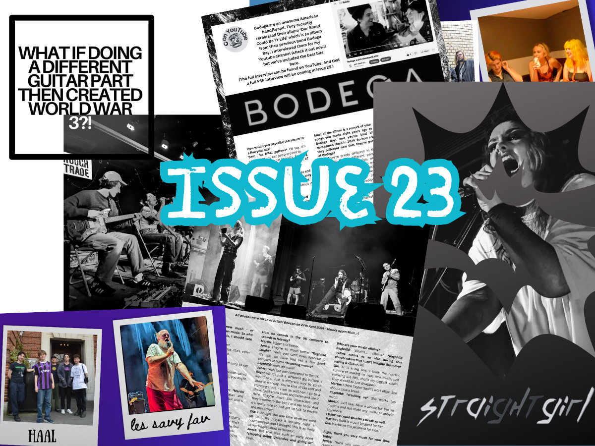 pint-sized punk issue 23 | pint-sized punk zine