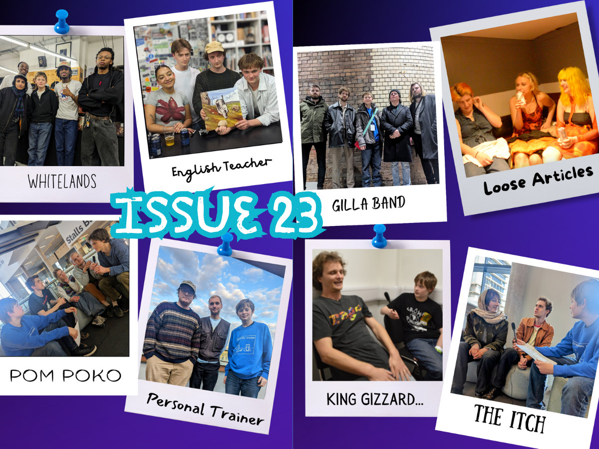pint-sized punk issue 23 | pint-sized punk zine