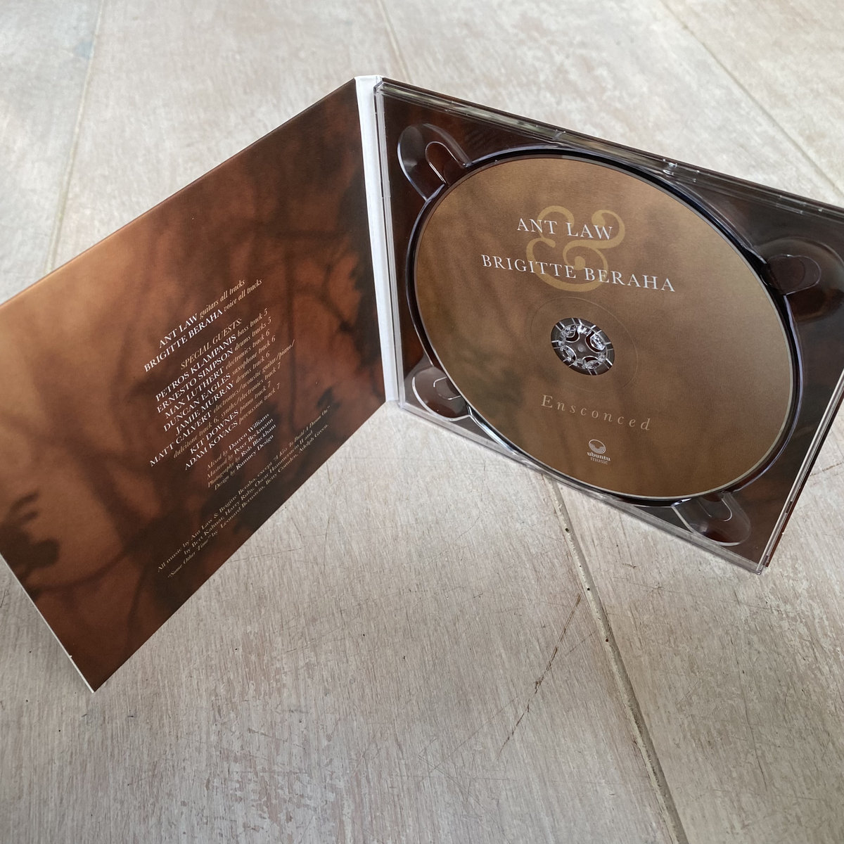 Ensconced | Ant Law & Brigitte Beraha | Brigitte Beraha