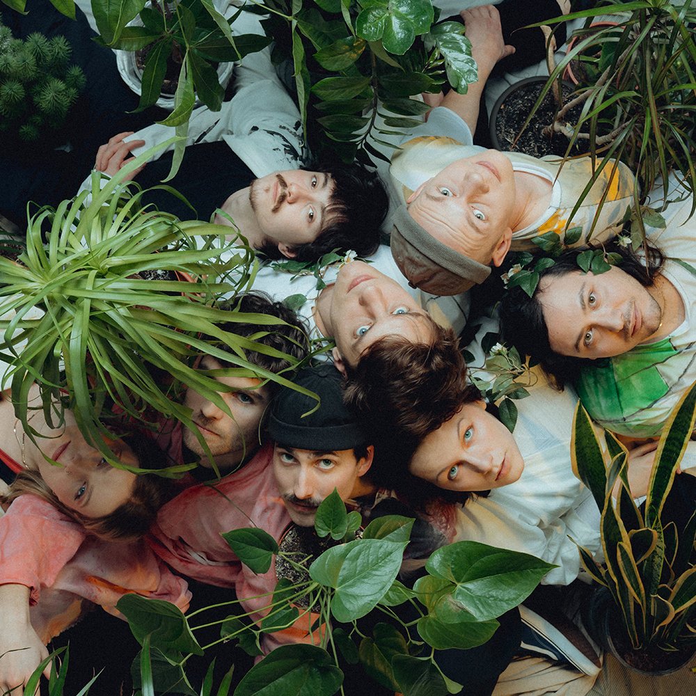 My Meadow | Fred Garden