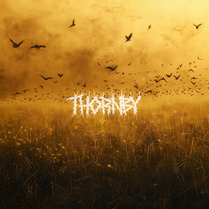 Music | Thornby