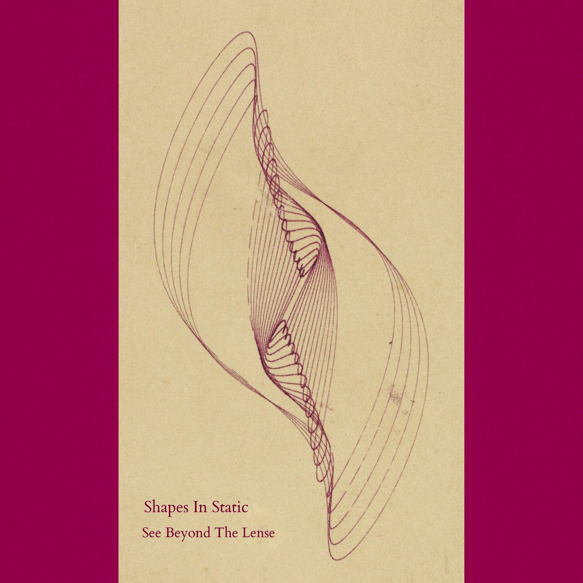 See Beyond The Lense | Shapes In Static