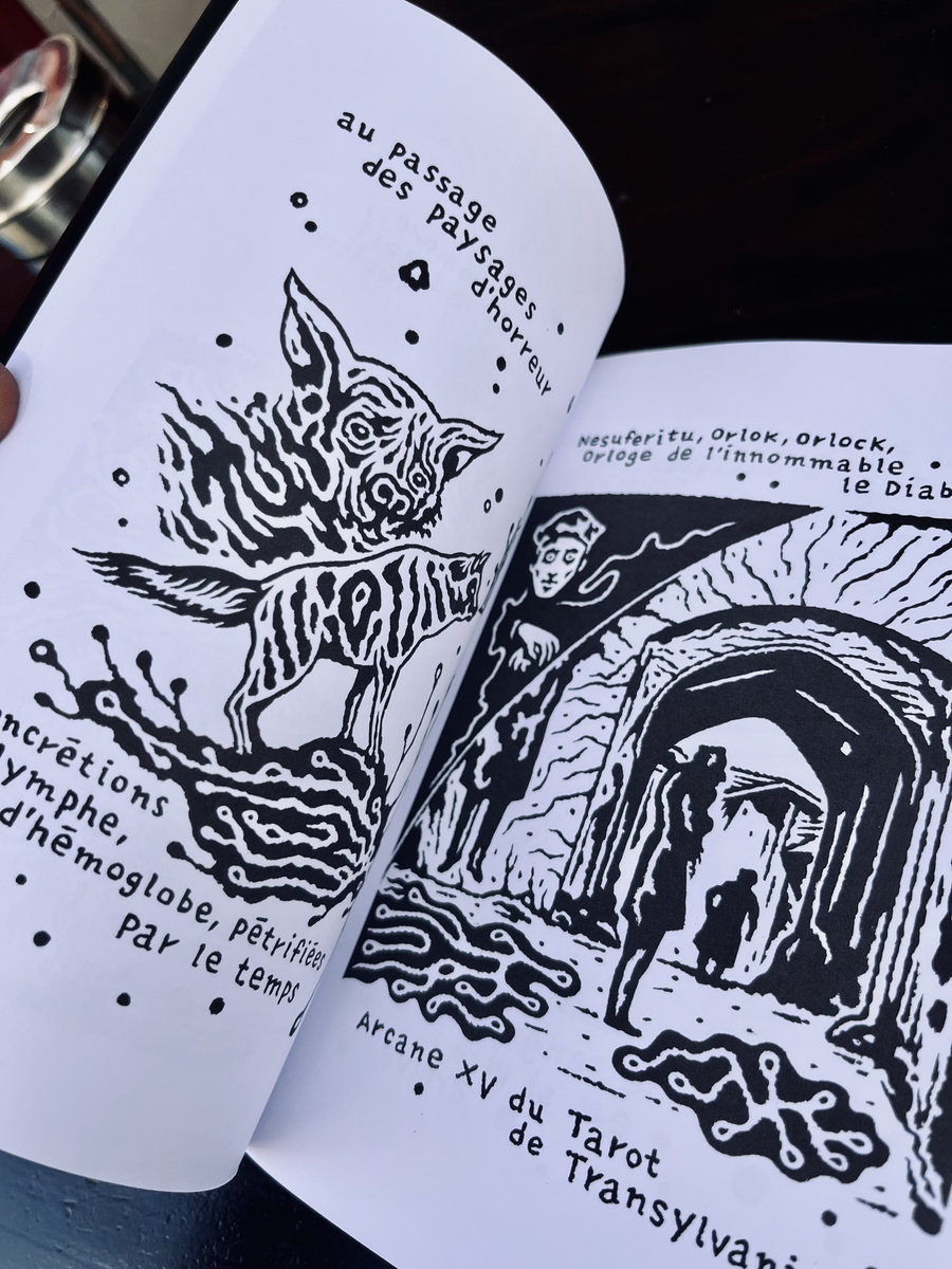 Nosferatu | Jérôme Lorichon, Emmanuelle Parrenin & Quentin Rollet ...