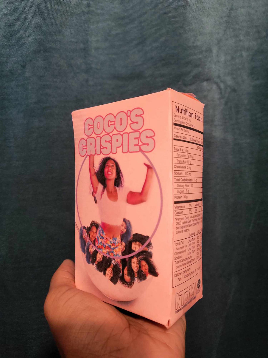 CoCo's Crispies Mini Cereal Box | *CoCojenkins
