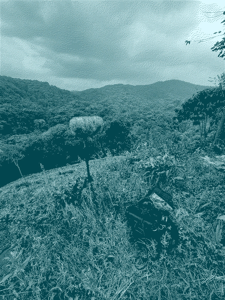 Sand Pilot | Invisible Flock