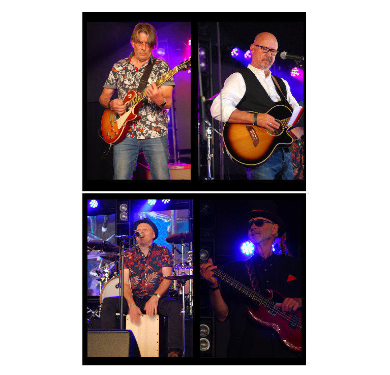 Monkey Business | Bertie & The Signs