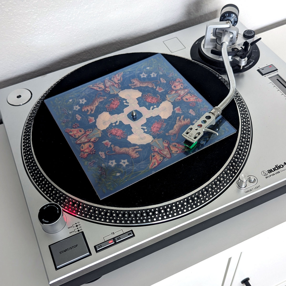 Sun Drying | Chinless Wonder