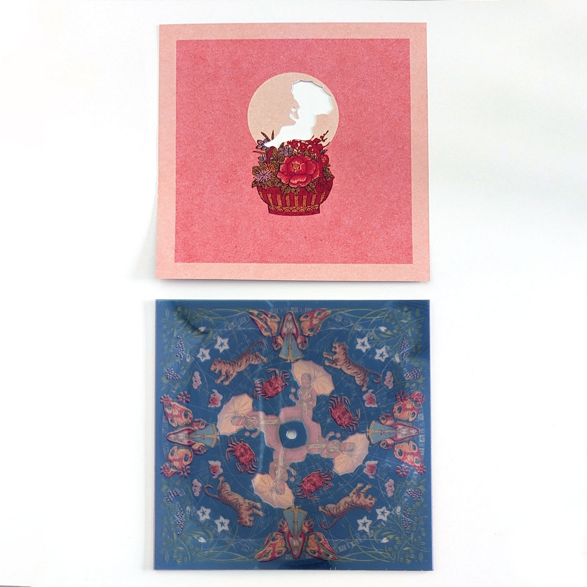 Sun Drying | Chinless Wonder