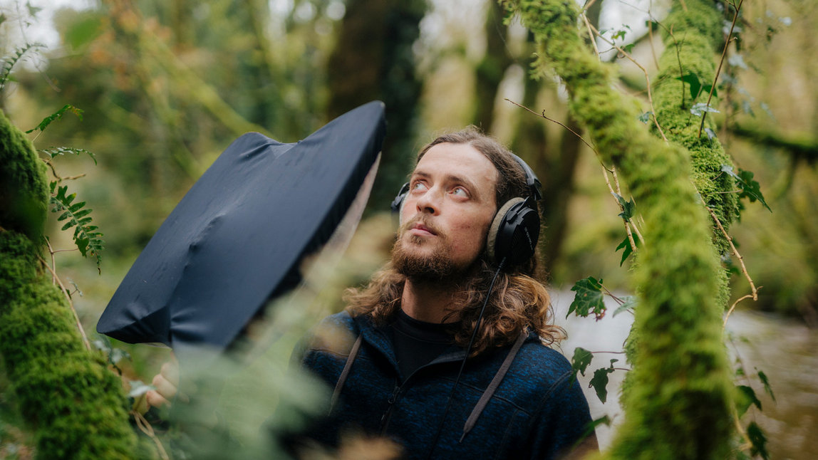 Irish Wildlife Sounds and the Race to Record Ireland’s Birds | Bandcamp ...