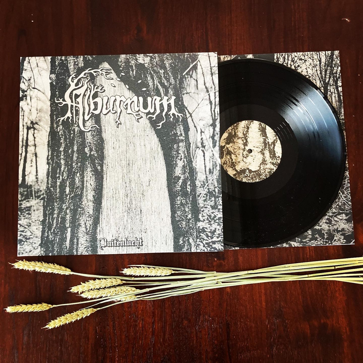 Buitenlucht | Alburnum