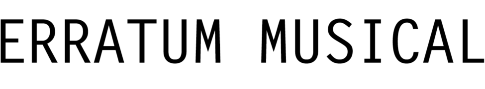 THE VOID | JUNKO | ERRATUM MUSICAL