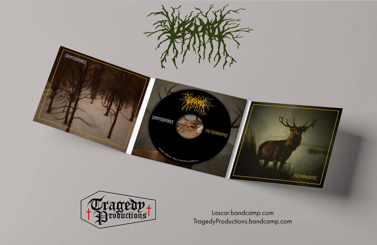 Cryptospores & Palynomorphs | Lascar | Tragedy Productions