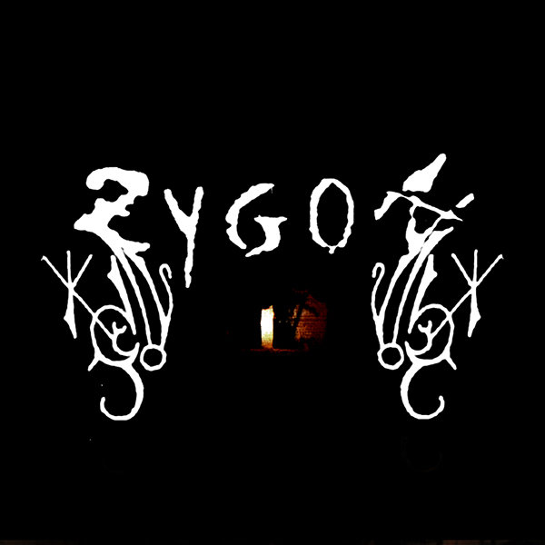 Purification in Dark Calamity | Zygon