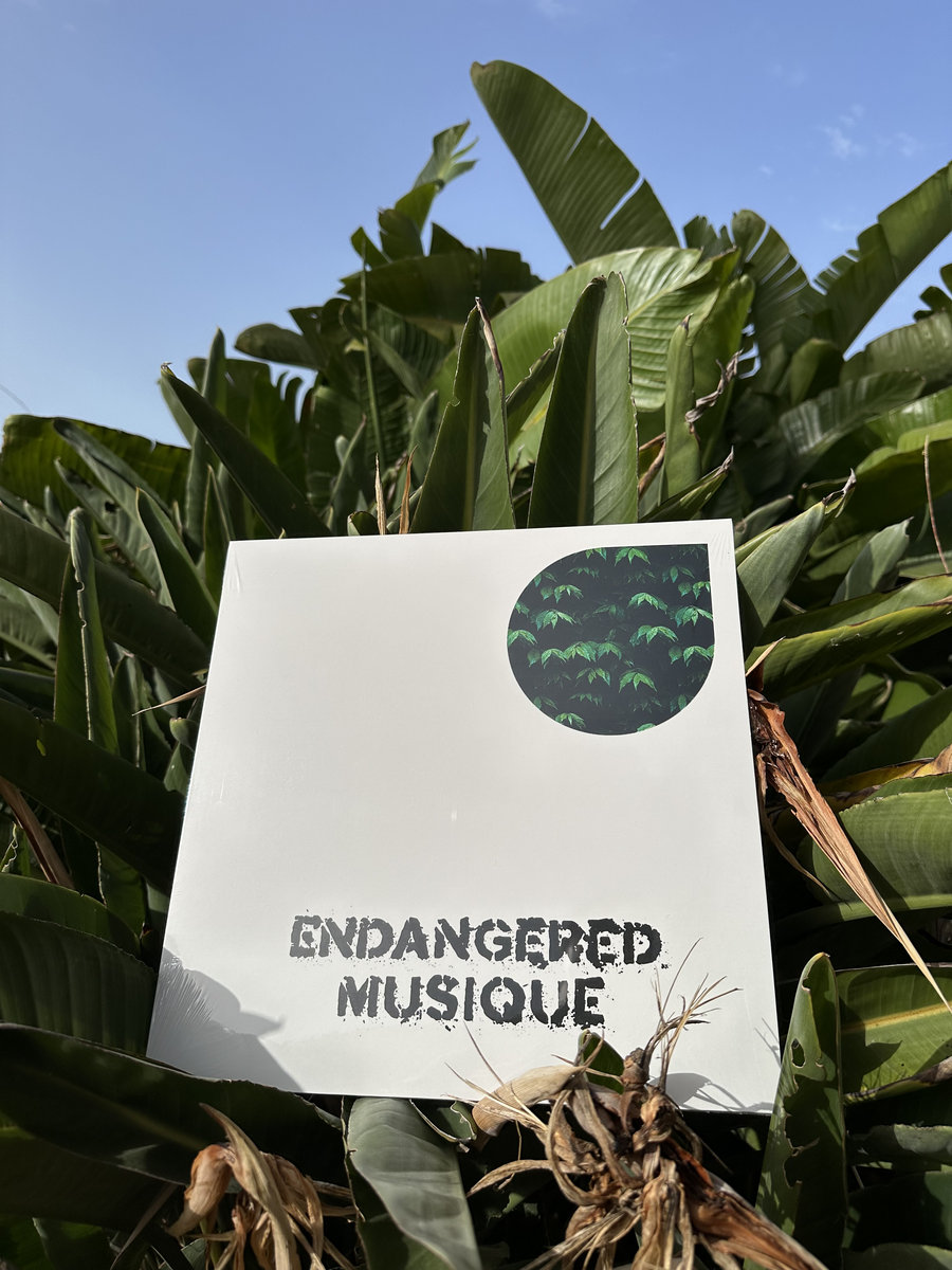 Tree House Rhythms - EM001 | Jose Chinga | Island Issues