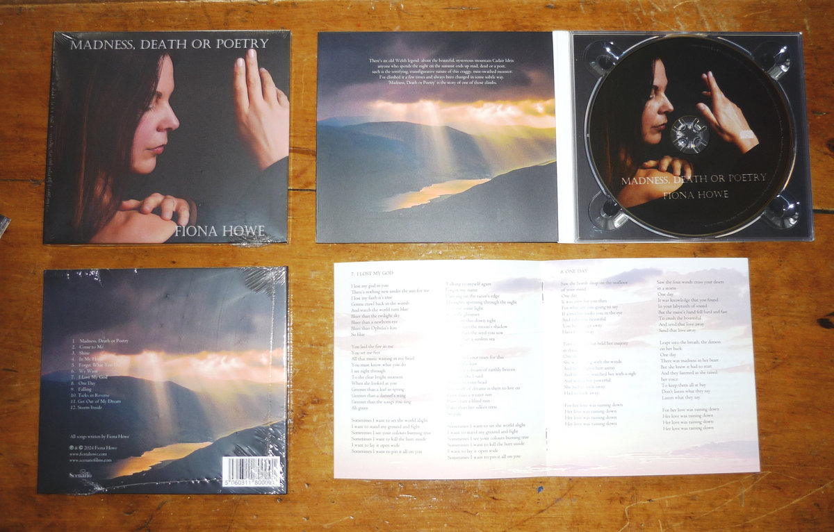 MADNESS, DEATH OR POETRY | Fiona Howe