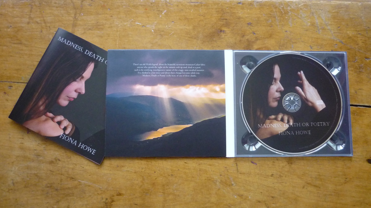 MADNESS, DEATH OR POETRY | Fiona Howe