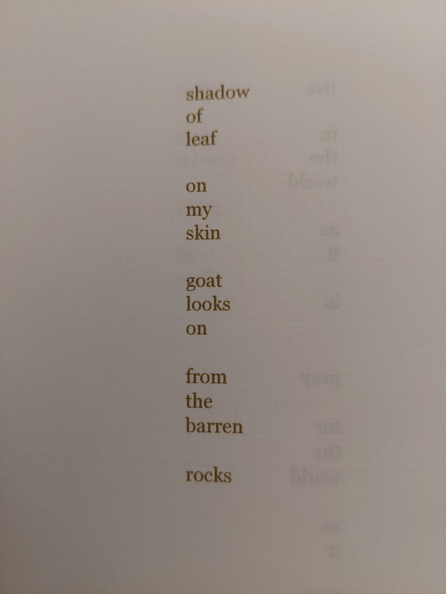 'Small Things' - a booklet of 17 small poems | Charlie Ulyatt