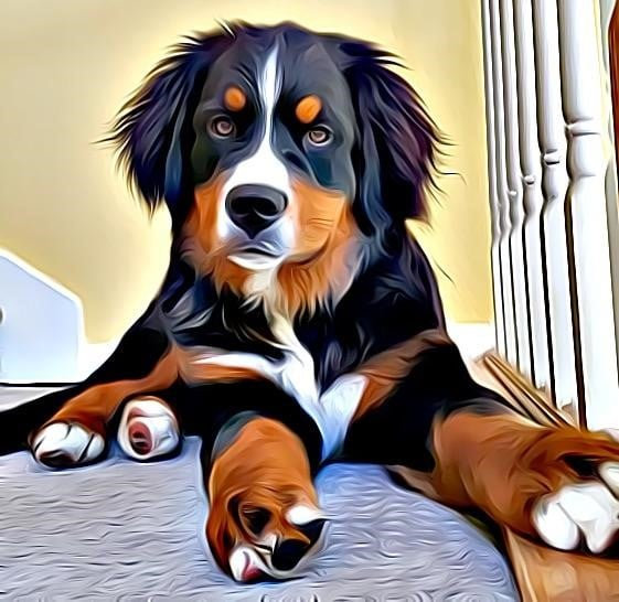 "Glory Train Express" | Tony & Cynthia Barbera & the Glory Train Express