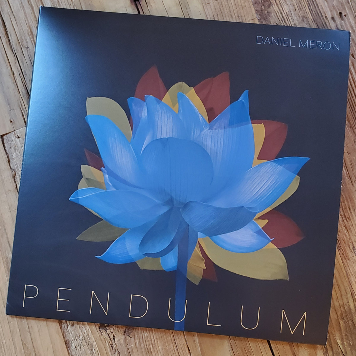 Pendulum | Daniel Meron