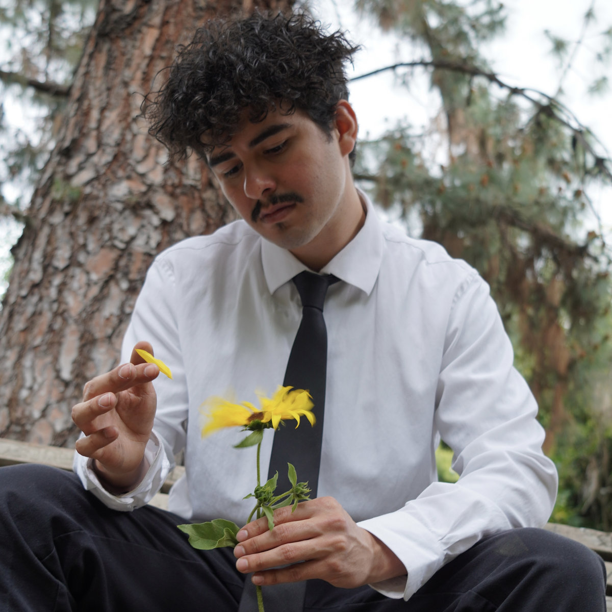 Ode to See You Again | Savian Sandoval