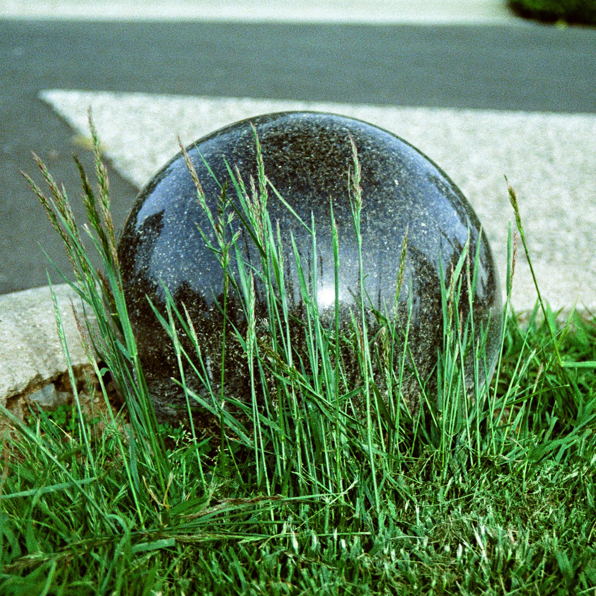 Ovulating Ocean | Back to the Womb