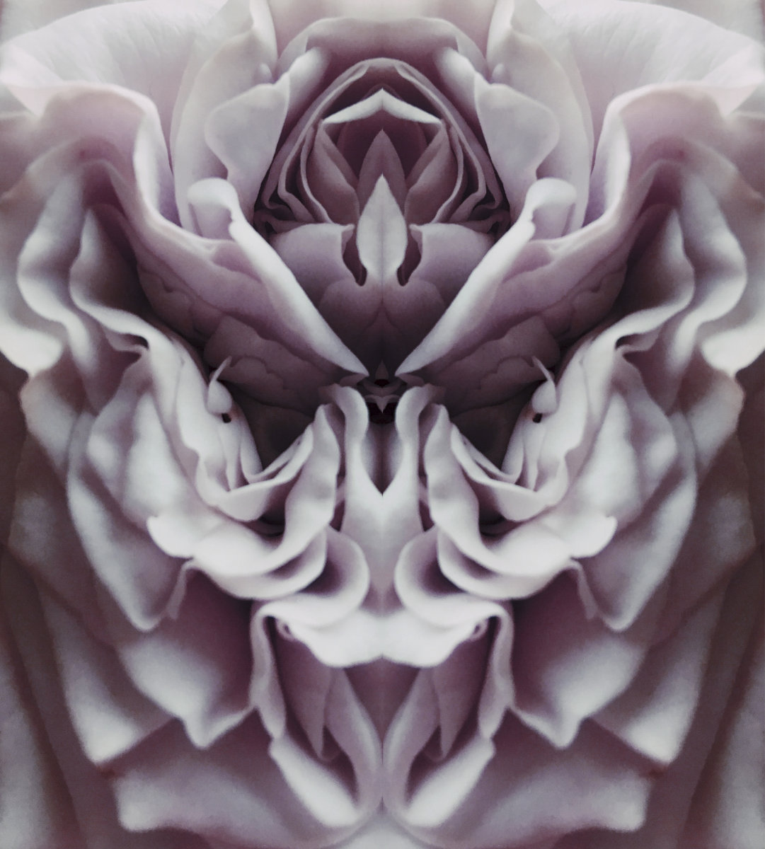 Dangerously Modern | MJL