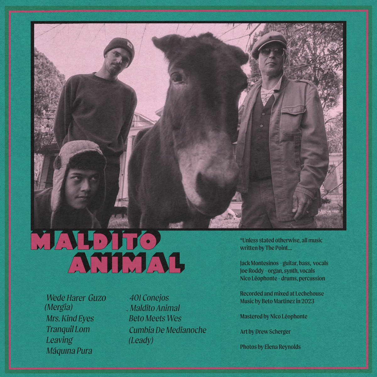 MALDITO ANIMAL | The Point
