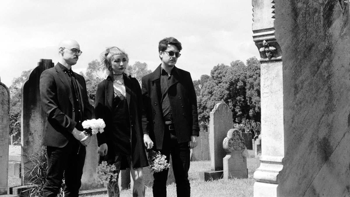 Positive Reinforcement | Plovers