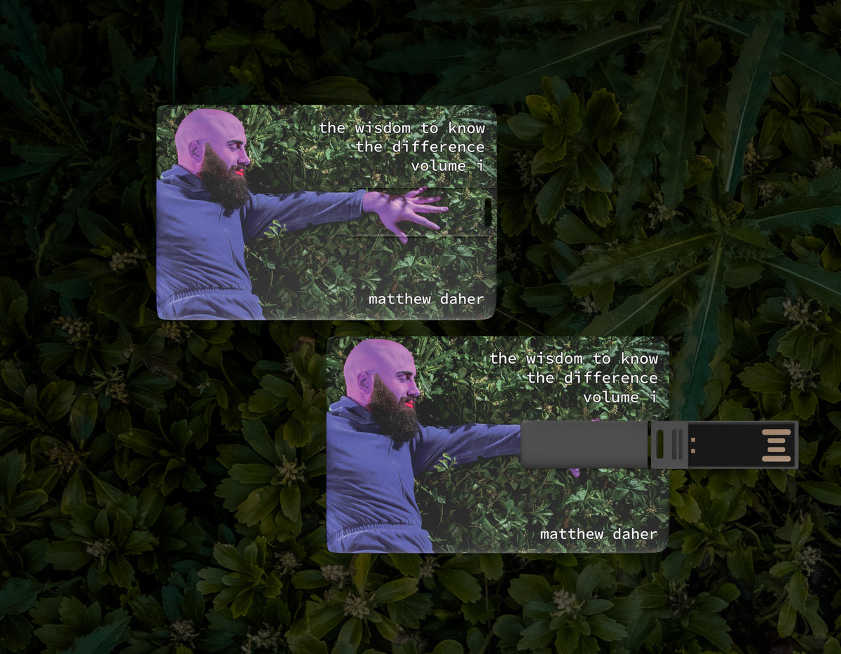 The Wisdom to Know the Difference Volume I | Matthew Daher