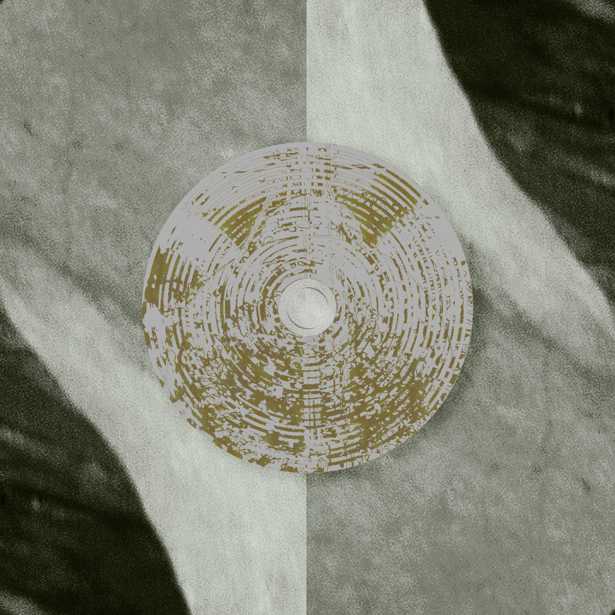 The Injured Healer | James Plotkin & Jon Mueller | WV Sorcerer ...