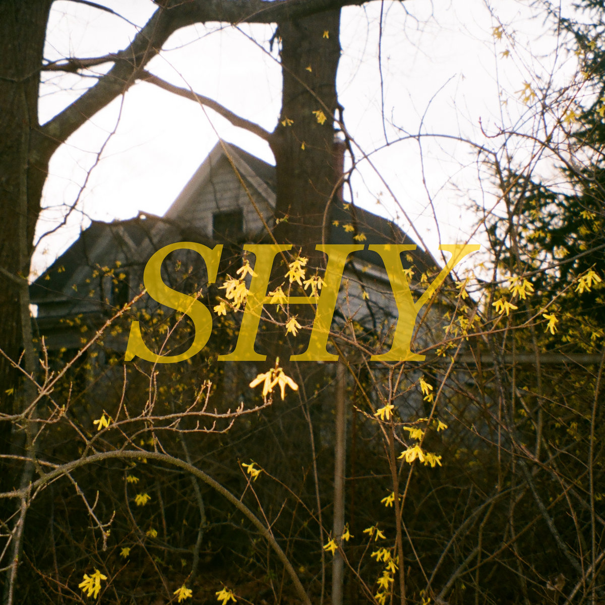 SHY | SHY