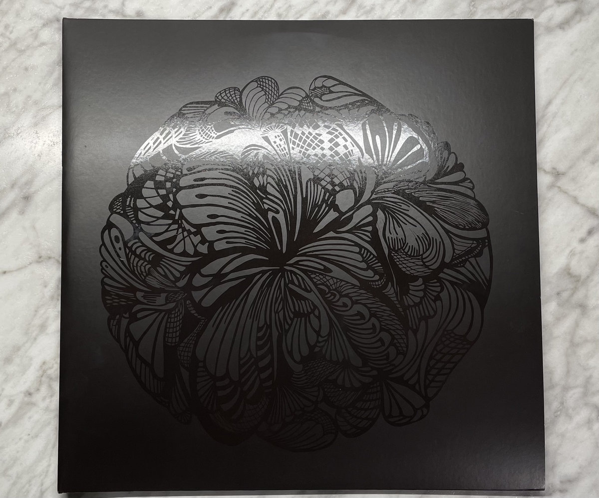 The Silent Years LP (all sides) | Farewell Friend