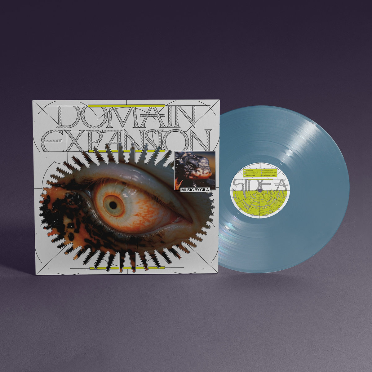 Domain Expansion | GILA