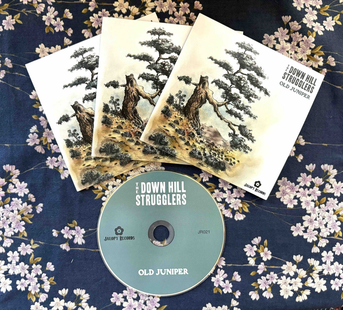 Old Juniper | Down Hill Strugglers