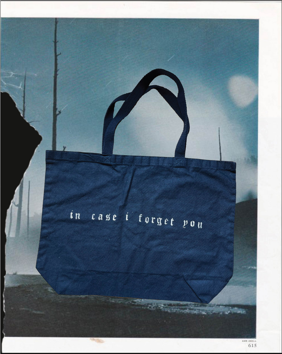in case i forget you tote bag | glass egg