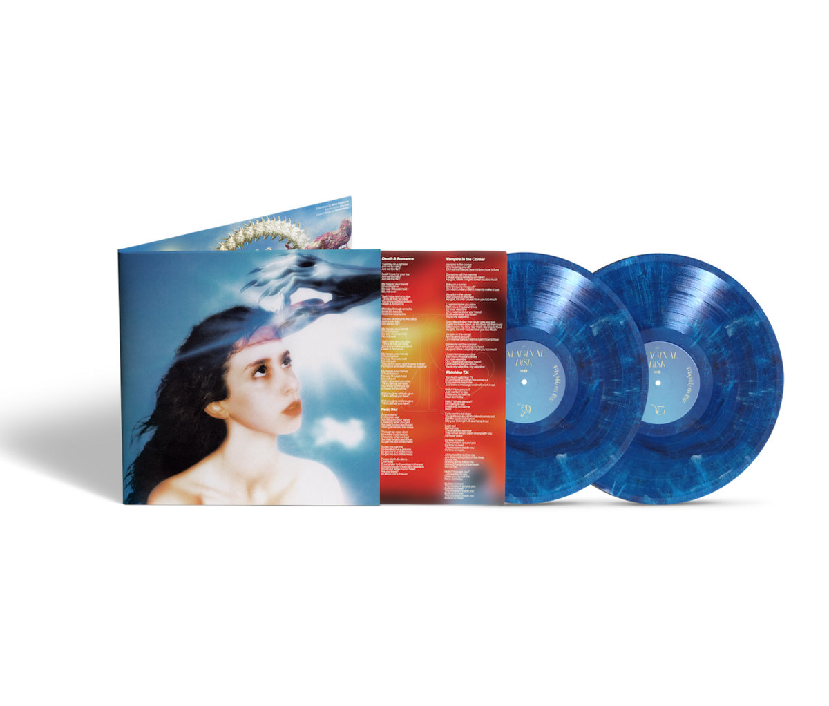 Imaginal Disk | Magdalena Bay