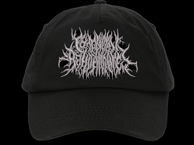 Silver Logo Hat | Congenital Abnormalities