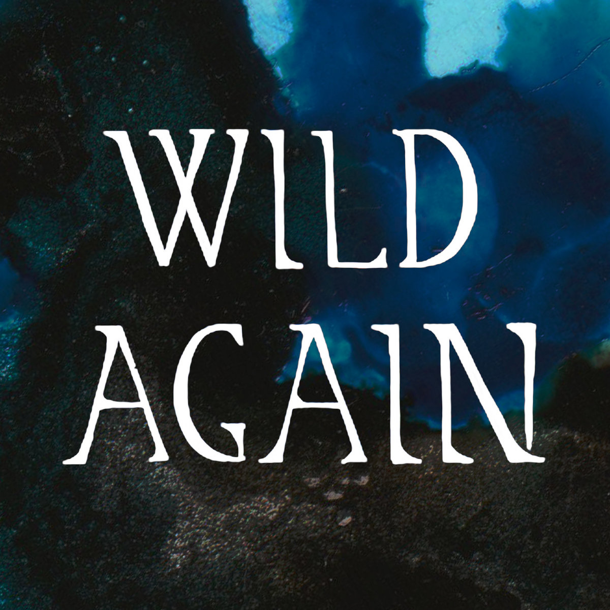 Wild Again | Wild Again