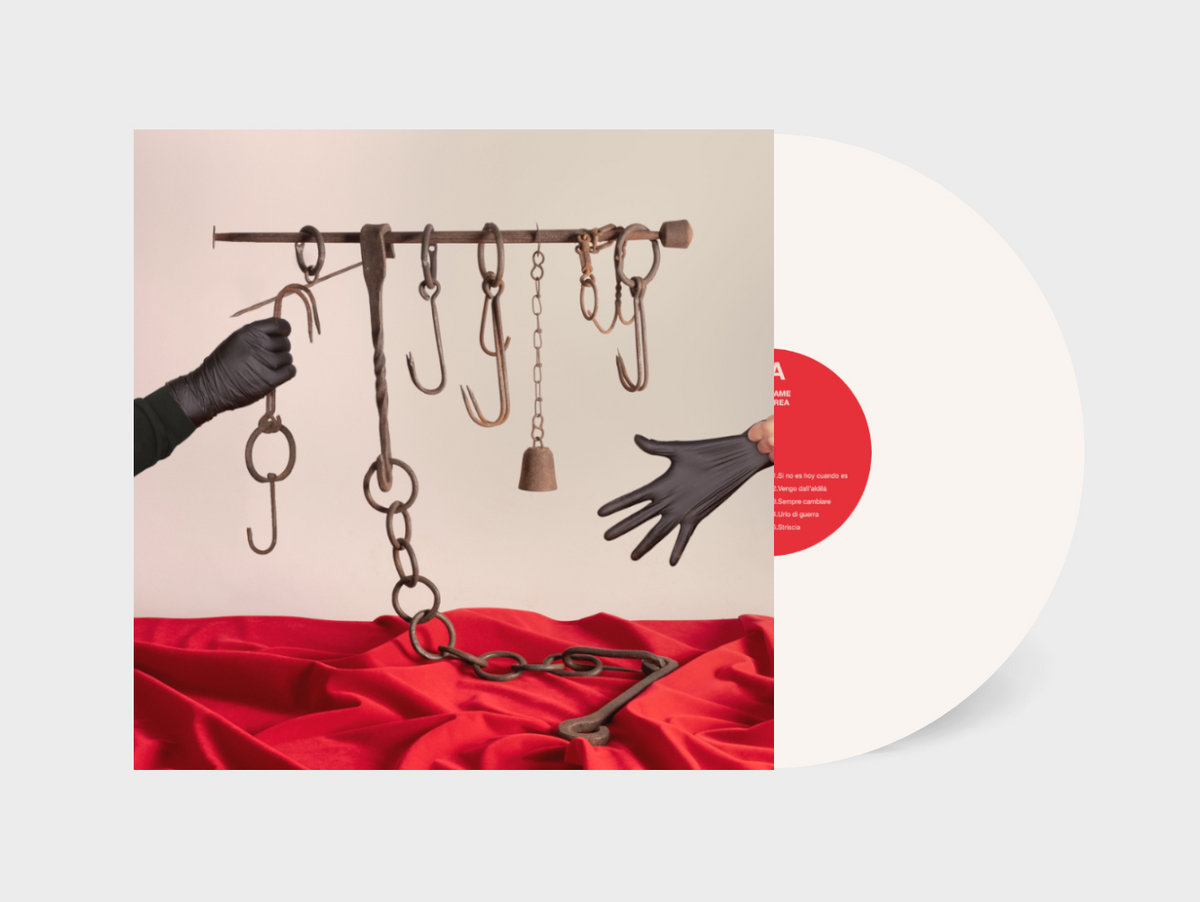 Toda la verdad sobre Dame Area | Dame Area | humo internacional