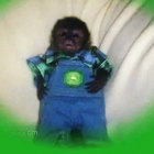 Hide (CS01 Version) | Dorian Concept